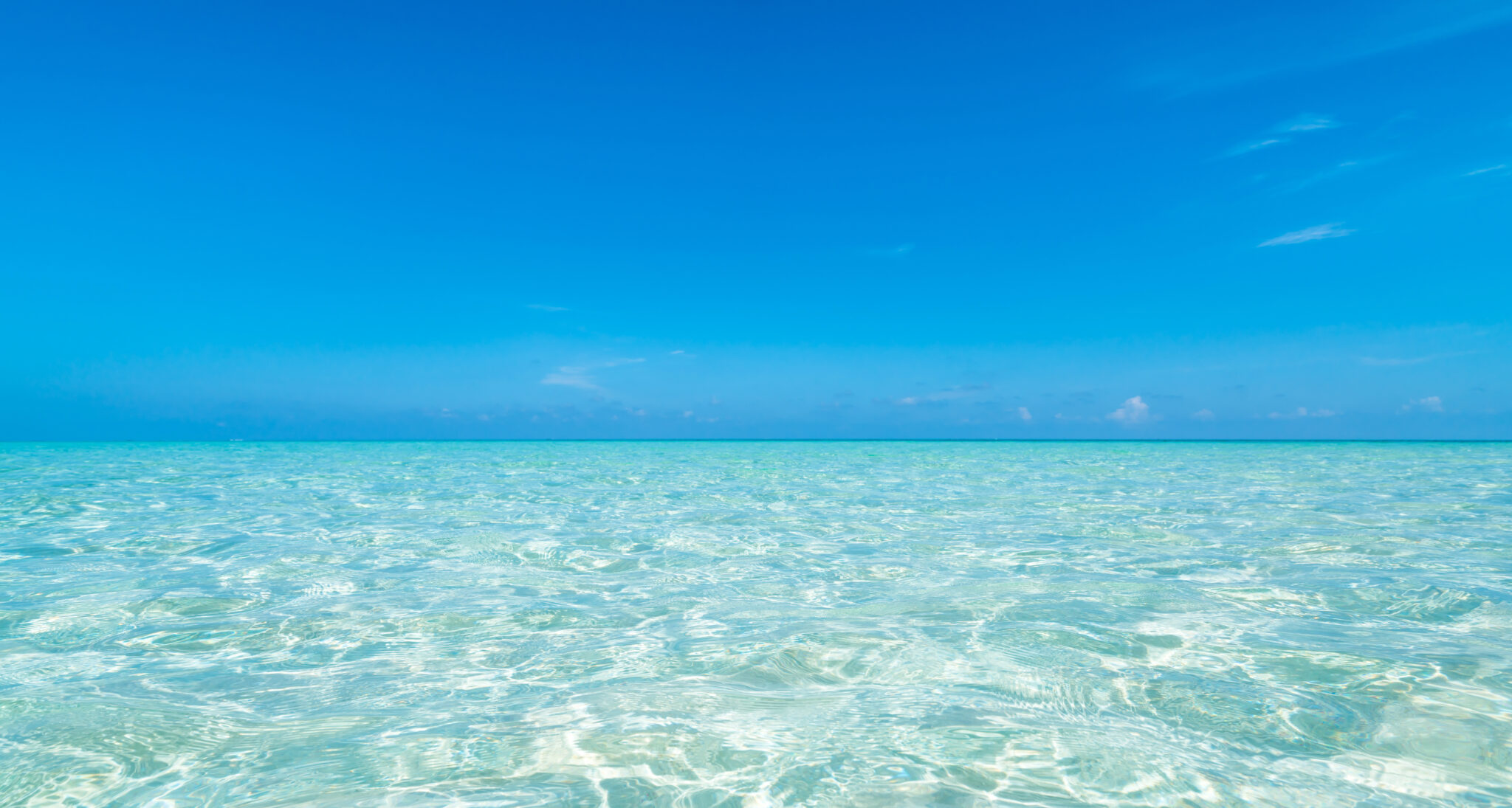 Clear Blue Water - Custom Wallpaper