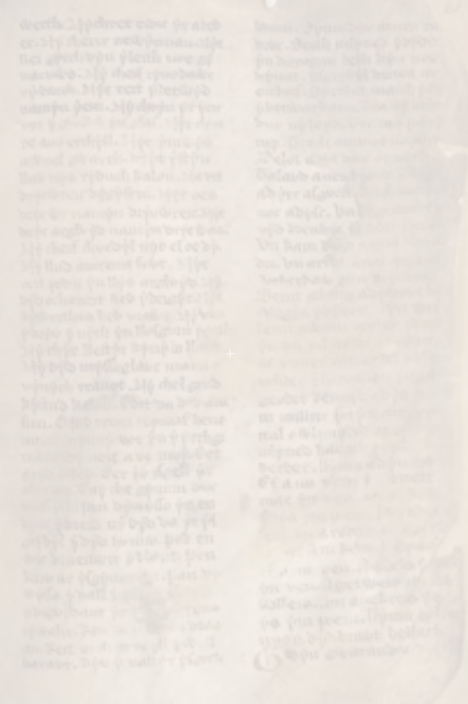 Self-Adhesive - square - 2000W x 3000H - Custom Wallpaper